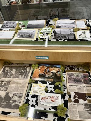 CAL POLY HUMBOLDT LIBRARY - Updated December 2025 - 59 Photos - 1 ...