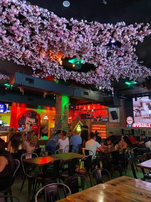 EL TIESTO CAFE - MIAMI - Updated January 2025 - 758 Photos & 509 ...