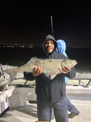 SOUND BOUND FISHING CHARTERS - Updated December 2025 - 83 Photos & 23 ...