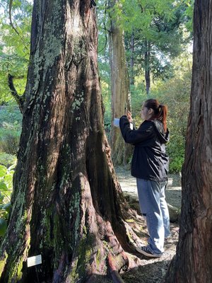 MILL VALLEY PUBLIC LIBRARY - Updated October 2025 - 77 Photos & 93 ...