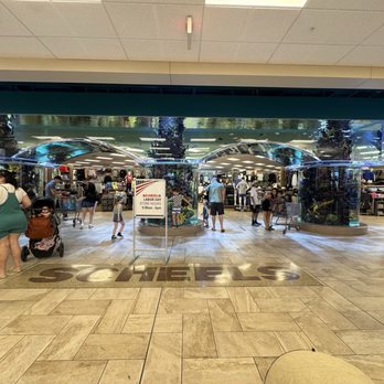 SCHEELS - Updated October 2025 - 853 Photos & 159 Reviews - 3199 W ...