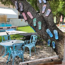 LAZY GATOR - Updated July 2025 - 190 Photos & 191 Reviews - 102 W ...