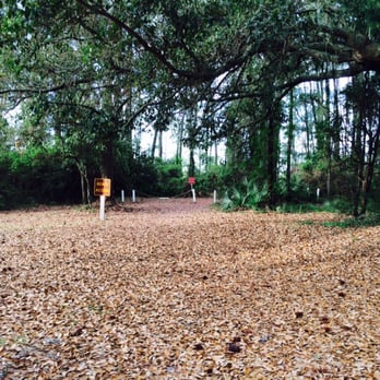 DAUPHIN ISLAND CAMPGROUND - Updated December 2025 - 29 Photos & 12 ...