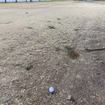 DAVIS MUNICIPAL GOLF COURSE - Updated July 2025 - 22 Photos & 41 ...