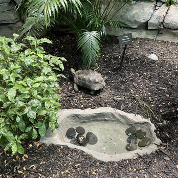 ORLANDO SCIENCE CENTER - Updated September 2025 - 1213 Photos & 402 ...