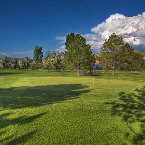 FOREST DALE GOLF COURSE - Updated December 2025 - 17 Photos & 17 ...