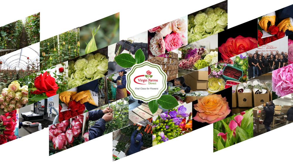 VIRGIN FARMS DIRECT - Updated July 2025 - 8475 NW 66th St, Miami ...