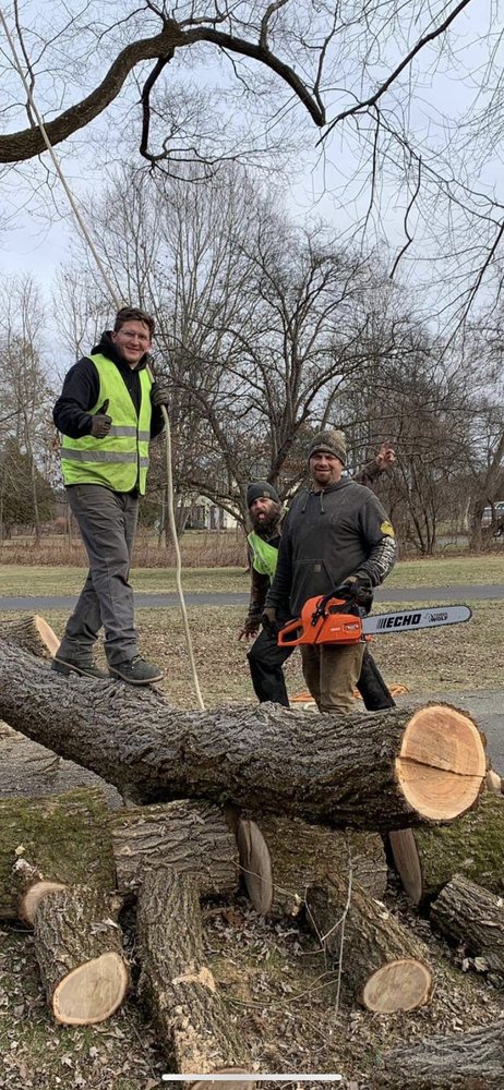 TIMBERWOLF TREE AND CONTRACTING - Updated October 2025 - 24 Photos - Clifton Park, New York ...