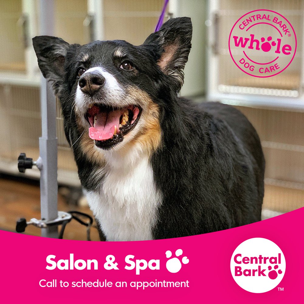 CENTRAL BARK AMARILLO - Updated September 2024 - 23 Photos - 5001 South ...