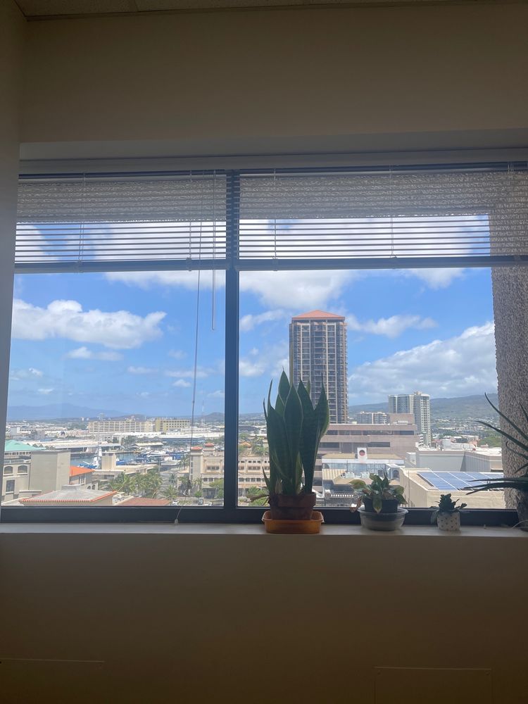 BLAKE GOODMAN - Updated January 2026 - 48 Photos & 103 Reviews - 900 ...