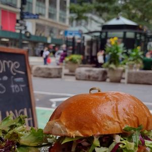 THE HAROLD - 569 Photos & 501 Reviews - American (Traditional) - 1271 ...