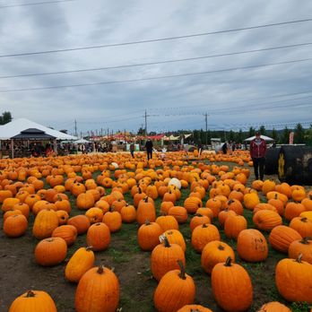 YESTERYEAR FARMS - Updated November 2024 - 181 Photos & 92 Reviews ...