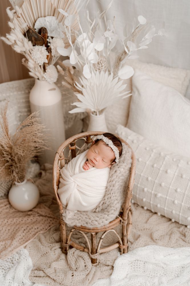 CATCHLIGHT STUDIO - Updated August 2025 - 145 Photos & 12 Reviews - Walnut Creek, California ...