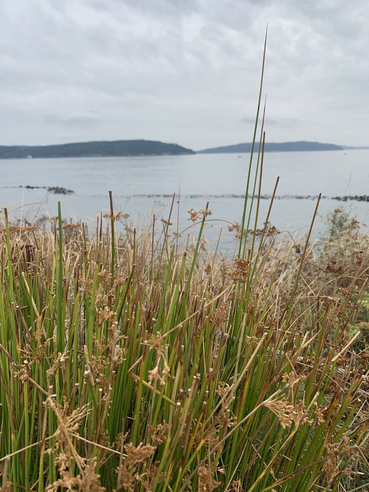 POINT DEFIANCE MARINA & BOATHOUSE - Updated June 2024 - 36 Photos ...