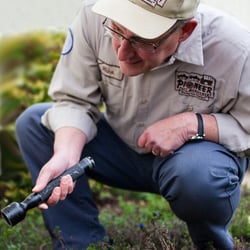 PURCOR PEST SOLUTIONS - 14 Photos & 99 Reviews - 2808 NE Martin Luther ...