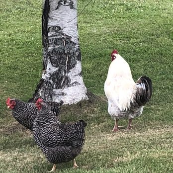 THE COPLIN DINNER HOUSE - Updated January 2025 - 45 Photos & 39 Reviews ...