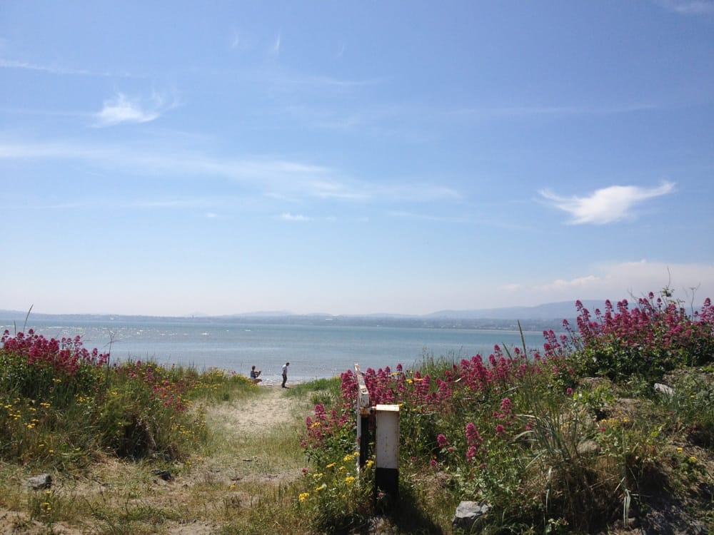 IRISHTOWN NATURE WALK - 11 Photos - Hiking - Irishtown, Co. Dublin ...