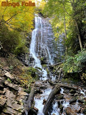 MINGO FALLS - 130 Photos & 43 Reviews - Eastern Cherokee Reservation ...