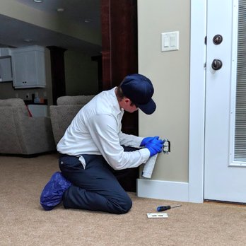 Moxie pest control store