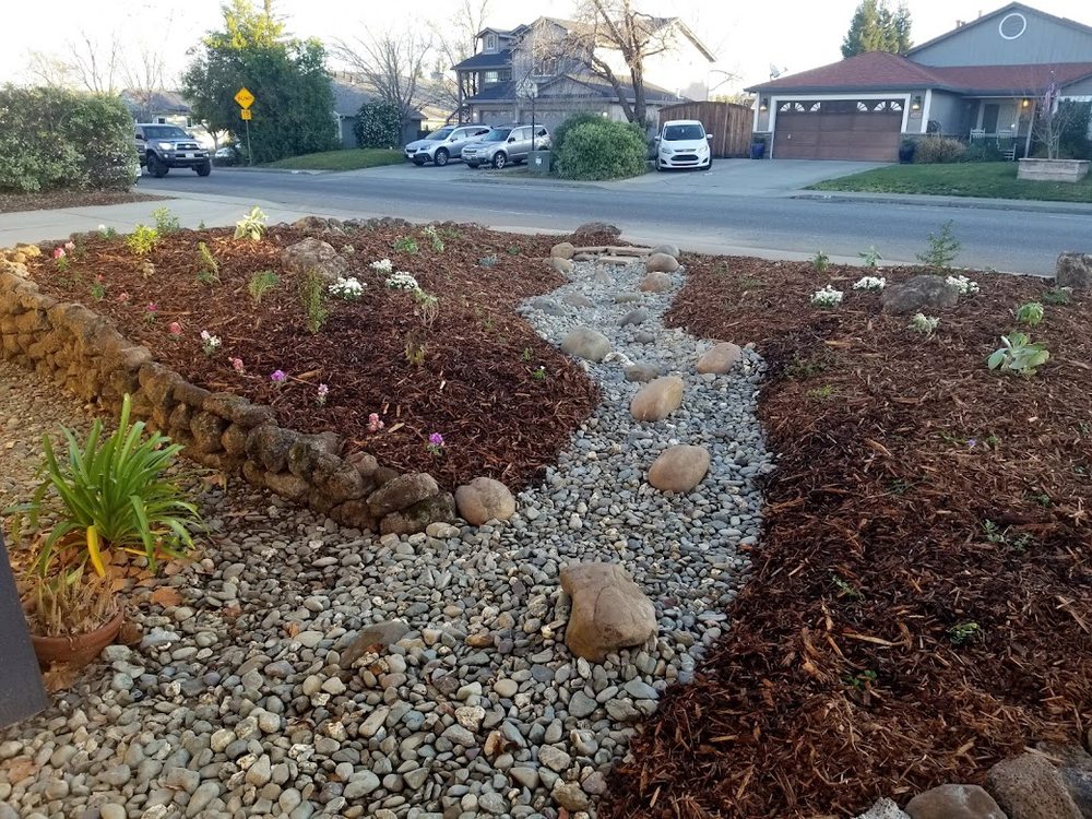 BLUE MOON - Updated October 2025 - Chico, California - Landscaping ...