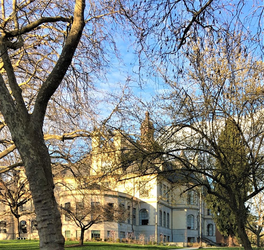 DENNY HALL - Updated January 2026 - NE Klickitat Ln, Seattle ...