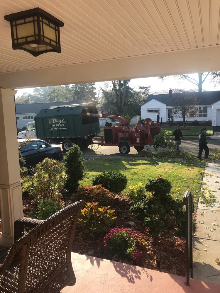 PINE HILL TREE SERVICE - 45 Whitney Rd, Mahwah, New Jersey - Tree ...