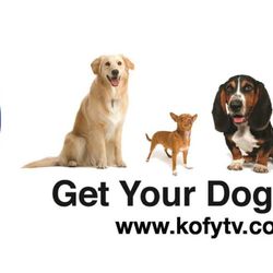 KOFY TV 20 - 32 Reviews - 900 Front St, San Francisco, CA - Yelp
