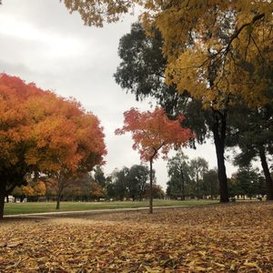 CATALDI PARK - 200 Photos & 103 Reviews - Parks - 2900 Cataldi Dr, San ...