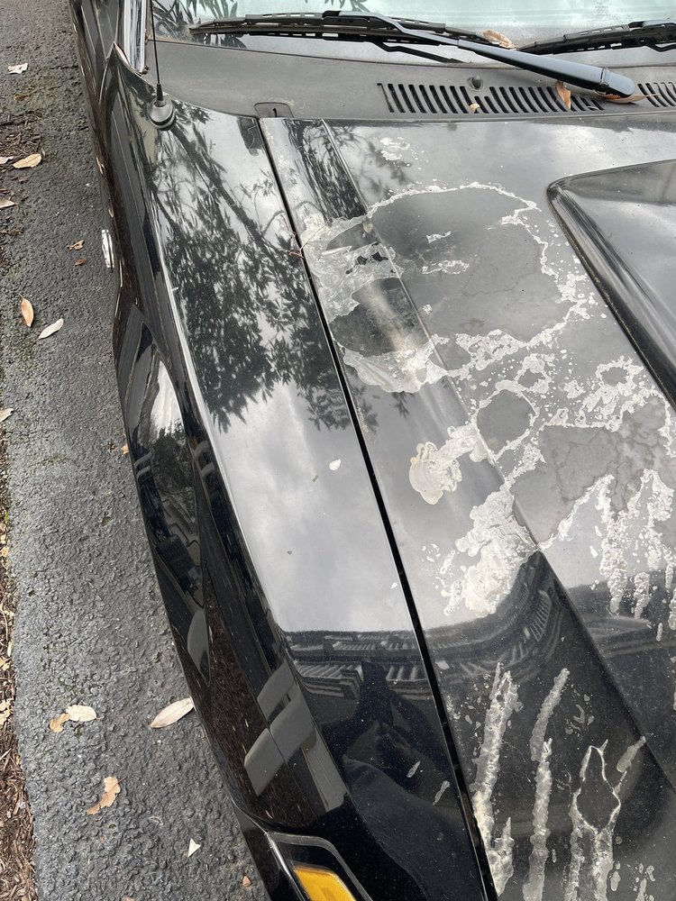 AZALEA AUTO BODY - Updated January 2026 - 17 Reviews - 5277 Windermere ...