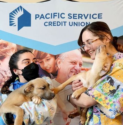 PACIFIC SERVICE CREDIT UNION - Updated June 2024 - 44 Photos & 37 ...
