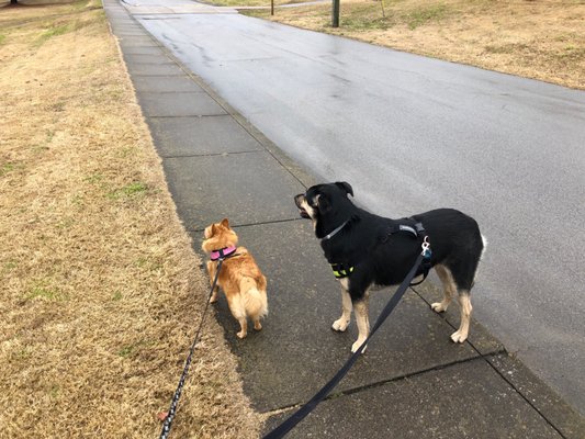 VINNYLINKS GOLF COURSE - 28 Photos & 11 Reviews - 2009 Sevier St ...