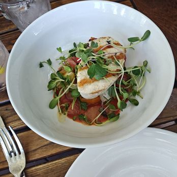 CALICO RESTAURANT AND BAR - Updated March 2025 - 238 Photos & 302 ...