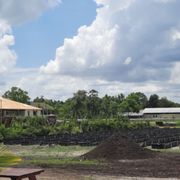 CRAZY DINGO BREWING - $ - 79 Photos & 37 Reviews - 8500 Penzance Blvd ...