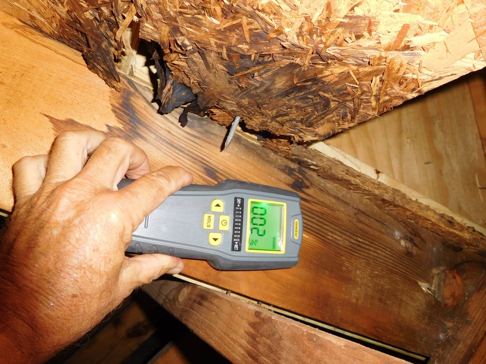 DELTA HOME INSPECTIONS - Updated October 2025 - 54 Photos - Mobile ...