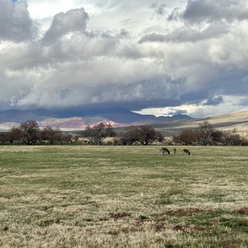 SPRING MOUNTAIN RANCH STATE PARK - 1102 Photos & 141 Reviews - 6375 Hwy ...