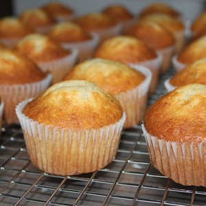 LA COUNTY LIBRARY - CULVER CITY LIBRARY - Updated January 2026 - 82 ...