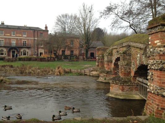 THE LION - Updated May 2025 - 10 Photos - High Street, Farningham, Kent ...