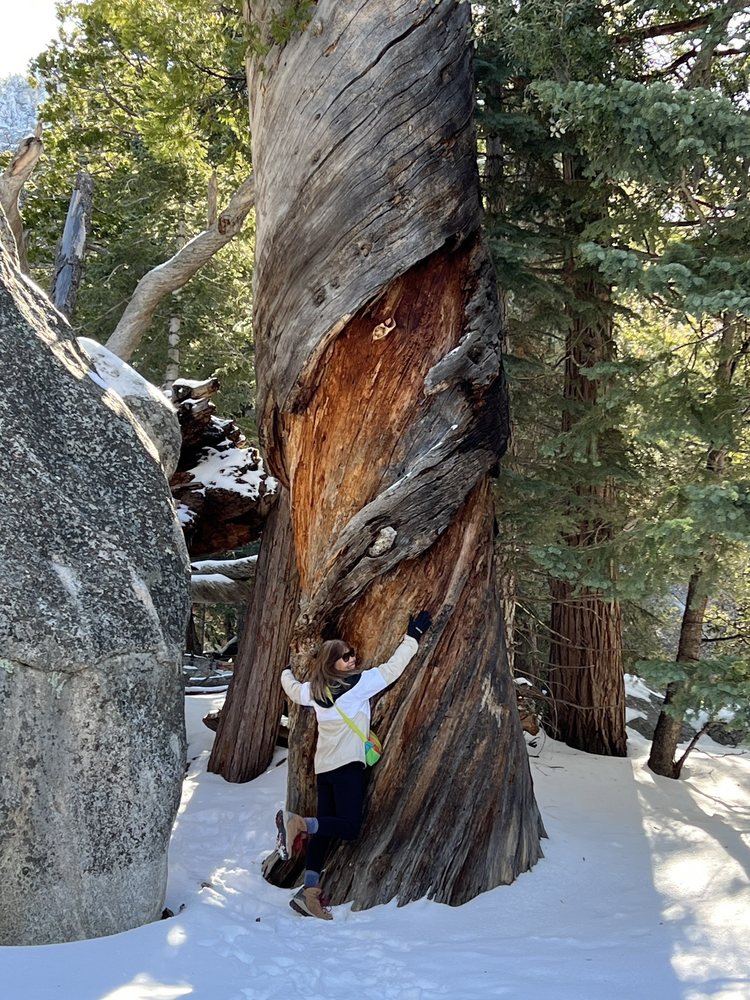 IDYLLWILD PARK - Updated December 2025 - 230 Photos & 92 Reviews ...