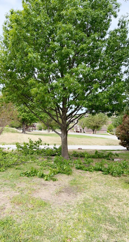 LONGHORN TREE SERVICE - Request a Quote - 1353 Meadowbrook Ln, Crowley ...