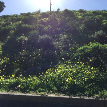 CAPISTRANO PARK - Updated December 2025 - 27 Photos & 18 Reviews ...