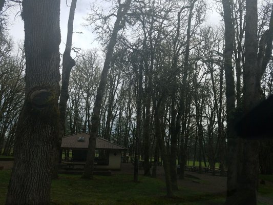 North Albany County Park, NW Hillcrest St, Albany, OR, Parks - MapQuest