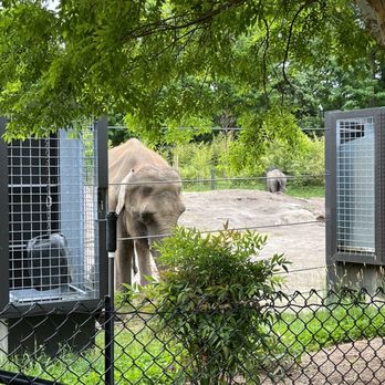 OREGON ZOO - 3037 Photos & 872 Reviews - 4001 SW Canyon Rd, Portland ...