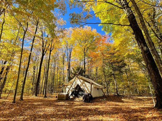 GLEN ORO FARM - 17 Photos - 2574 10 Line N, Hawkestone, Ontario ...