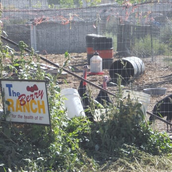 THE BERRY RANCH - Updated December 2025 - 33 Photos & 14 Reviews - 7998 ...