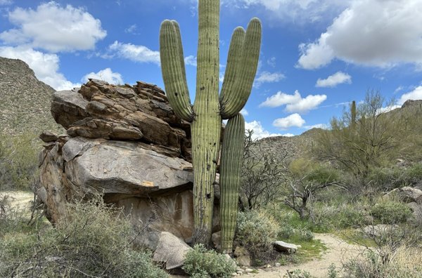 WILD BURRO TRAILHEAD - Updated August 2025 - 14810 N Secret Springs Dr ...