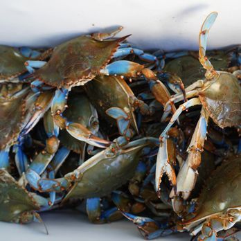 THE SHELLFISH COMPANY - Updated December 2025 - 336 Photos & 29 Reviews ...