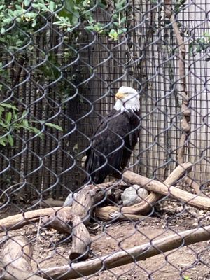 OC ZOO IRVINE REGIONAL PARK - Updated July 2024 - 33 Photos & 19 ...