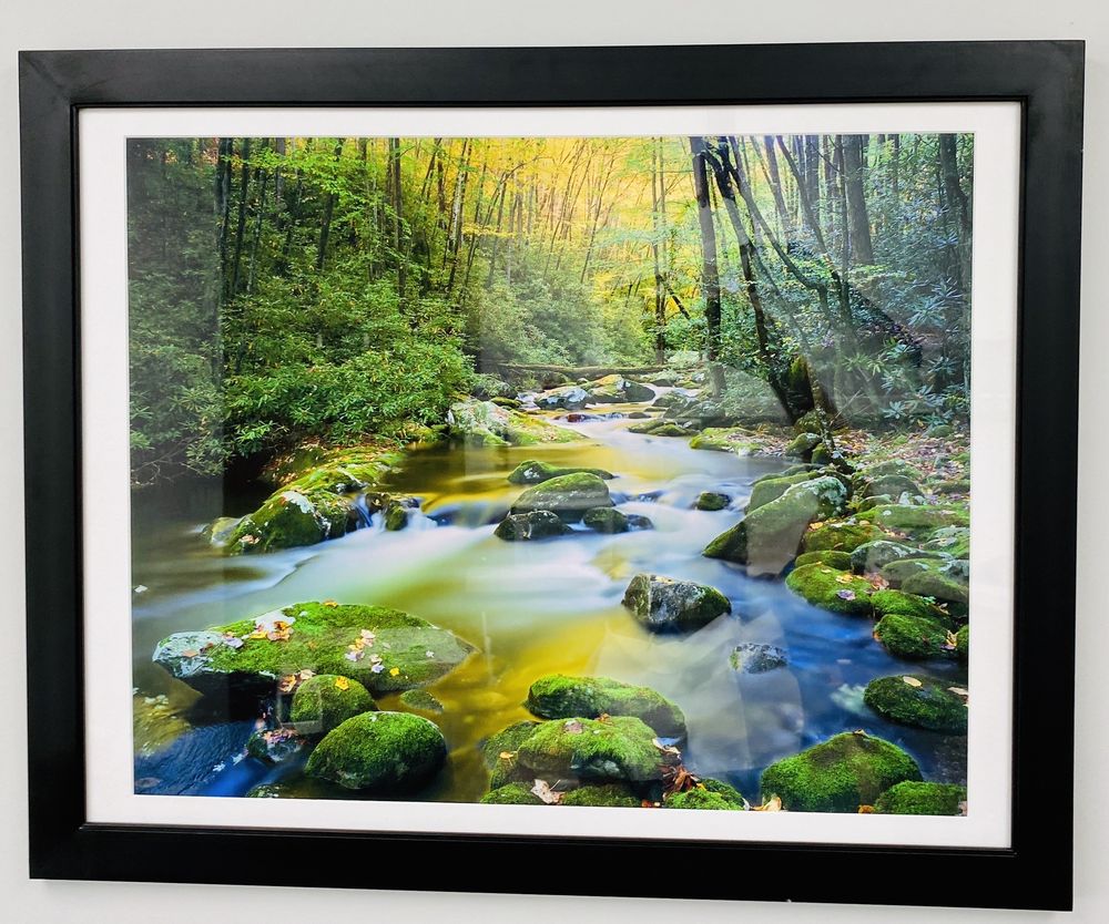 ALAN S BROCK, DDS - Updated July 2024 - 10 Photos - 800 W Madison Ave ...