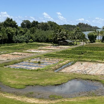 KUALOA RANCH - Updated September 2024 - 11886 Photos & 5301 Reviews ...
