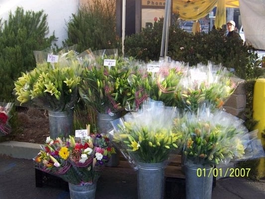 SKYLINE FLOWER GROWERS & SHIPPERS - Updated December 2025 - 4279 E ...